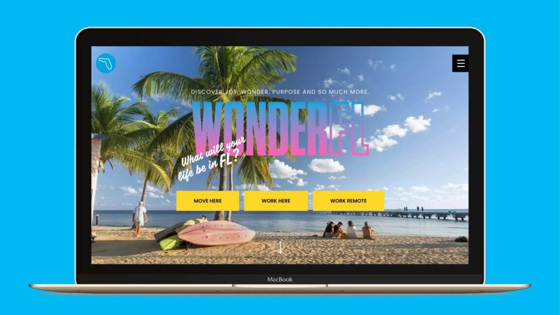 WonderFL - Development Counsellors International